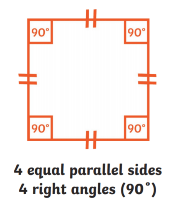 What is a Square? Answered - Twinkl teaching-wiki