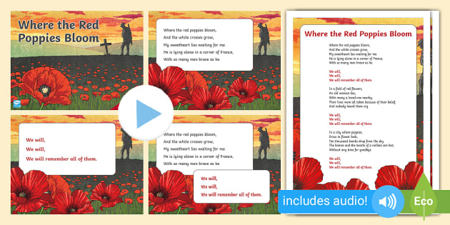 Why do we mark Remembrance Day? | Twinkl Teaching Wiki