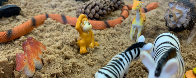 Sensory Play Day | Sensory play activities for early years!