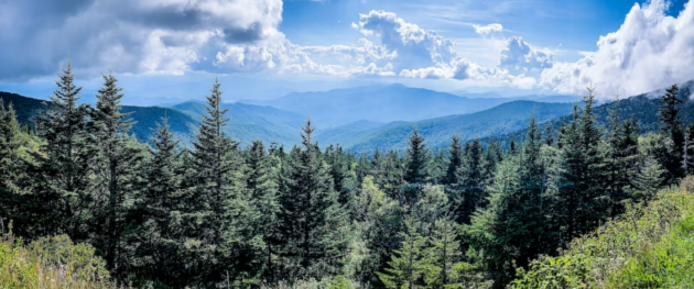 What is Tennessee? - Tennessee Facts for Kids - Twinkl USA
