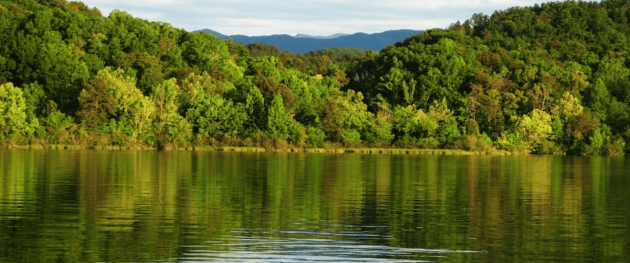 What is Tennessee? - Tennessee Facts for Kids - Twinkl USA