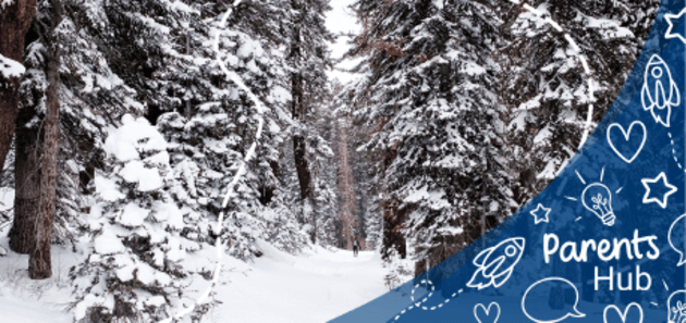 Winter Themes and Topics - Parents - Twinkl