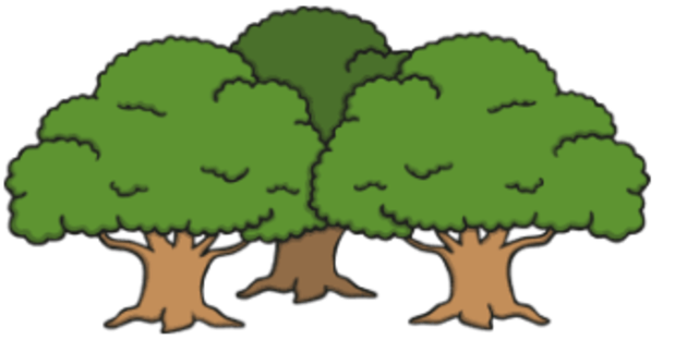 What is a Forest School? | Twinkl Teaching Wiki