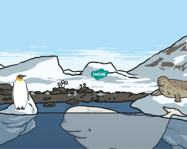 What is a habitat? | Life Science | Twinkl USA - Twinkl