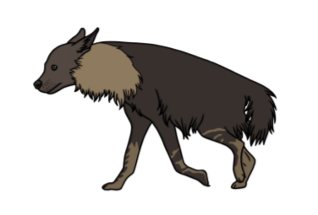 Hyena Facts | What is a Hyena? - Twinkl