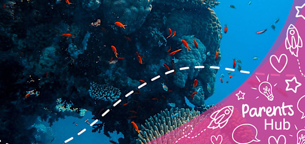 Under the Sea | Themes and Topics | Parents | Twinkl