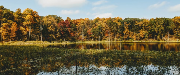 What is Indiana? - Indiana Facts for Kids - Twinkl USA