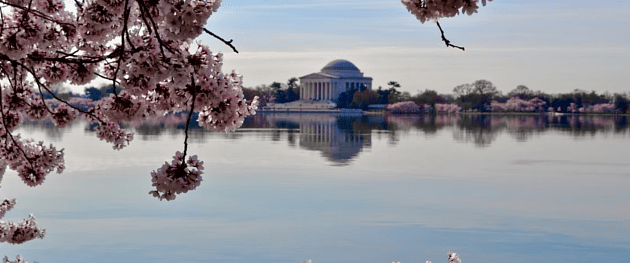 Washington, D.C. Facts for Kids - Twinkl Teaching Wiki