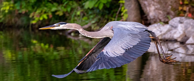 Washington, D.C. Facts for Kids - Twinkl Teaching Wiki