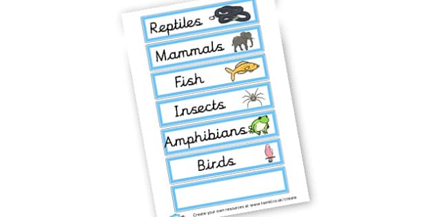 vocab cards types of animals (teacher made) - Twinkl