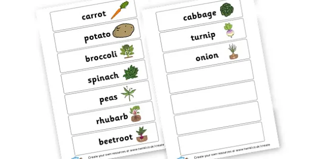Vegetable Word Cards (teacher made) - Twinkl