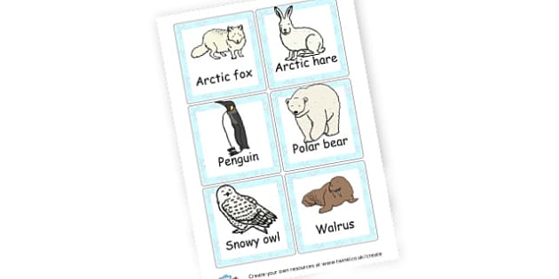 Winter Animals Word Cards (Hecho por educadores) - Twinkl
