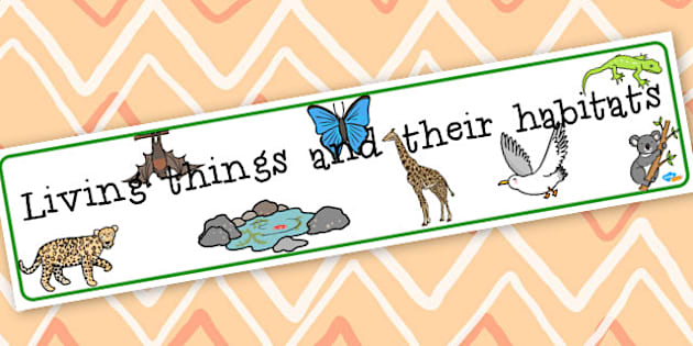 Maths Leads July 2025 Newsletter - Twinkl