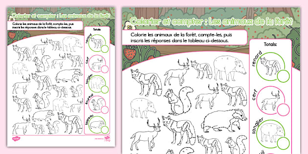 Colorier et compter : Les animaux de la forêt - Twinkl