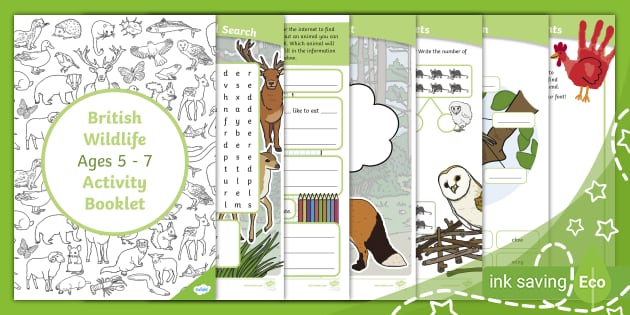 British Wildlife Activities for Kids - Twinkl