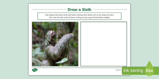 Draw a Sloth Art Activity,sloth (teacher made)