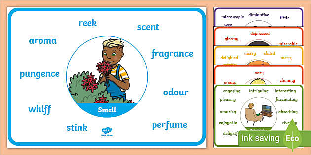 Synonyms Display Poster Twinkl Primary Display Resources