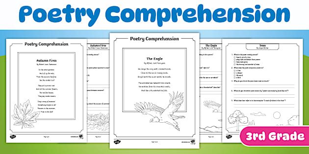 Third Grade Poetry Comprehension Questions Worksheet s