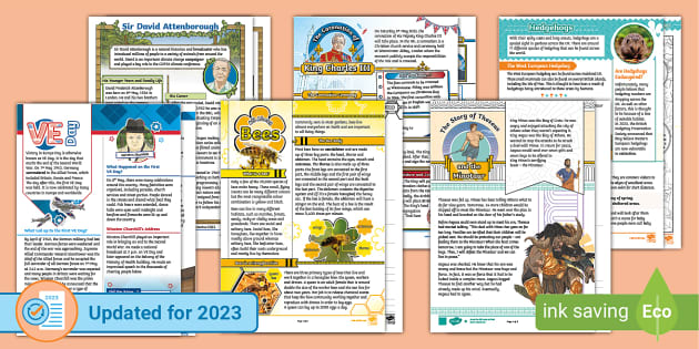 UKS2 May Reading Comprehension Activity Pack (Teacher-Made)