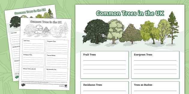Common Trees Fact File Template (teacher made) - Twinkl