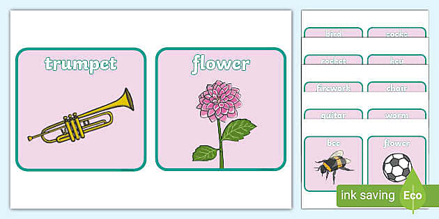 Sound Sources Sorting Game - Science (teacher made)