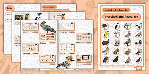 FREE! - Interactive Catalogue for Preschool: Bird Resources | Twinkl