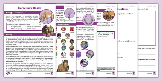 Horse Care Basics Differentiated Reading Comprehension