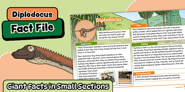 Diplodocus Fact File - KS2 Twinkl Science