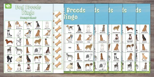 Dog Breeds Bingo Game Printable | Twinkl Party - Twinkl