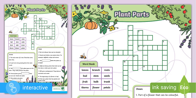 Plant Parts Crossword teacher Made Twinkl