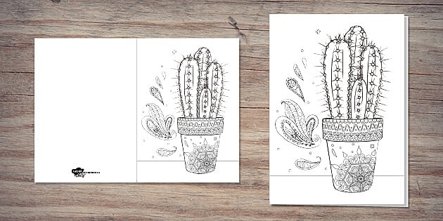 Potted Cactus Mindfulness Colouring Card | Twinkl Party