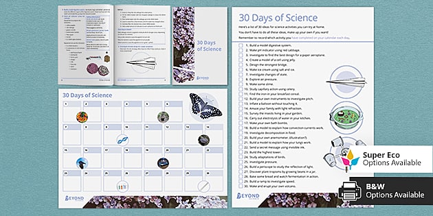 30 Days of Science Activities Bundle | Science | Beyond