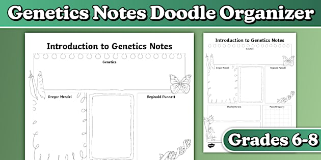 Genetics Punnett Square Notes Doodle Organizer for 6th-8th