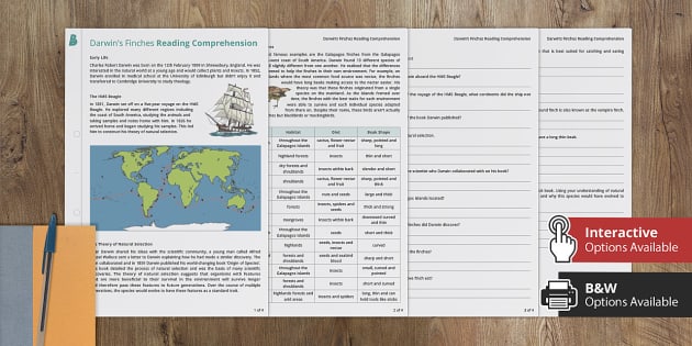 Darwin's Finches Year 7 Reading Comprehension - Twinkl
