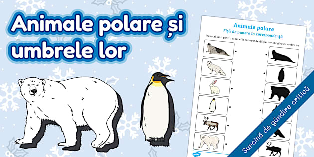 Găsește umbra: Animalele polare – Fișă