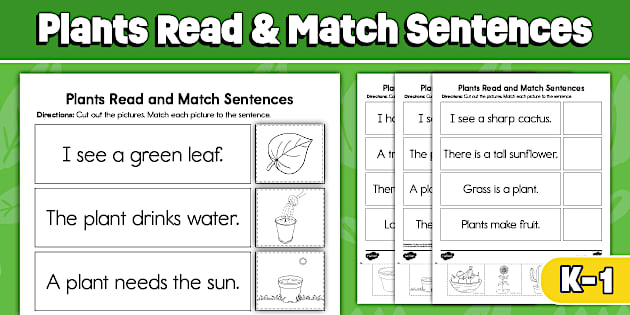 Plants Read and Match Sentences Worksheets for K-1st Grade
