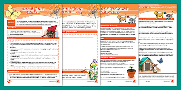 STEM Outdoors: Insect Explorers (Hecho por educadores)