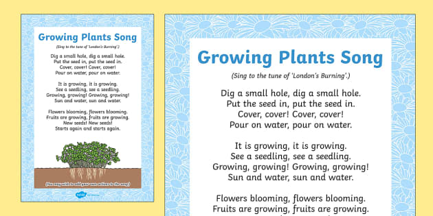 Growing Plants Song - Teaching Resources