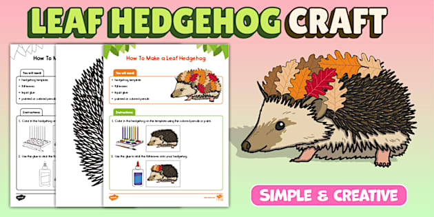 Hedgehog Activities and Ideas for Early Years - Twinkl