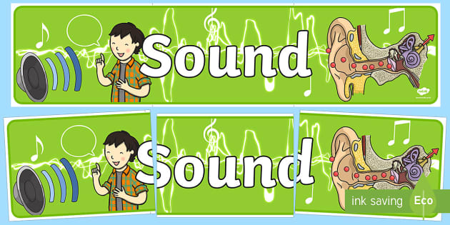 Sound Display Banner NZ (teacher made) - Twinkl