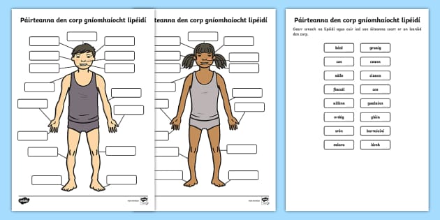 Gníomhaíocht Lipéadú: Páirteanna den Corp - Twinkl