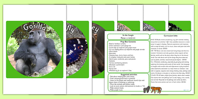 In the Jungle Prop Box Plan and Resource Pack (teacher made)