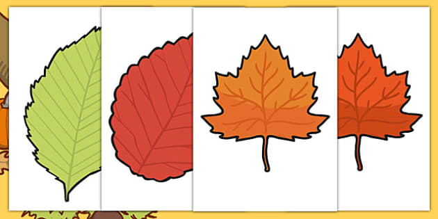 👉 Printable Pictures Of Autumn Leaves A4 Cut-Outs