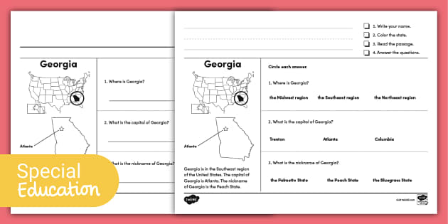Georgia State Report Worksheet for Special Education