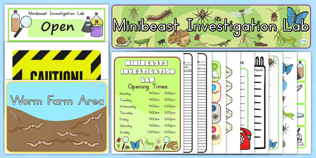 Minibeasts Investigation Lab Roleplay Pack - Twinkl