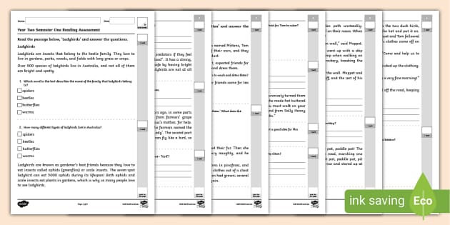 Year 2 Semester 1 Reading Assessment (teacher made) - Twinkl