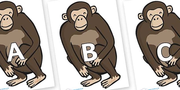 A-Z Alphabet on Chimps