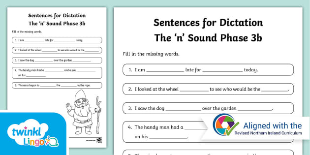 Northern Ireland Linguistic Phonics 3b 'n' Sound Dictation Sentences