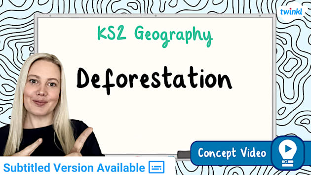 Deforestation | KS2 Geography Concept Video