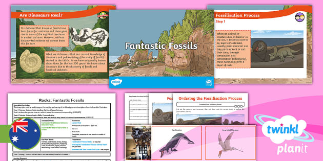 Year 4 Science Rocks Lesson 3 Fantastic Fossils - Twinkl